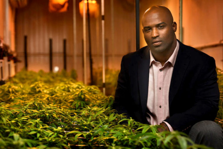 Ophelia Chong: Why We Should All Grow Cannabis at Home