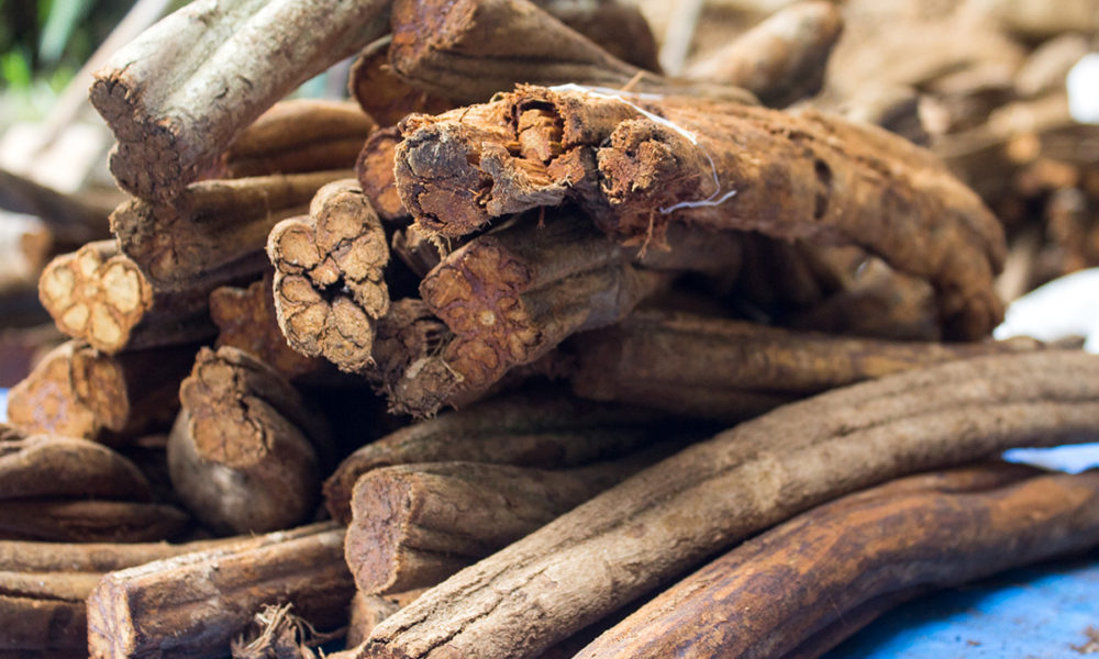 Ayahuasca Residue Found in 1,000-Year-Old Drug Pouch